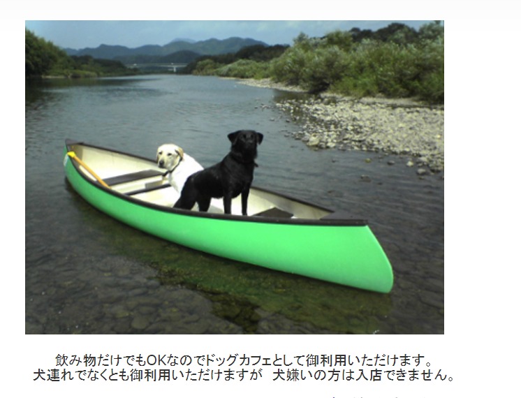 京都で犬と触れ合えるドッグカフェ20選！おすすめ・人気のドッグカフェは？｜MOFFME